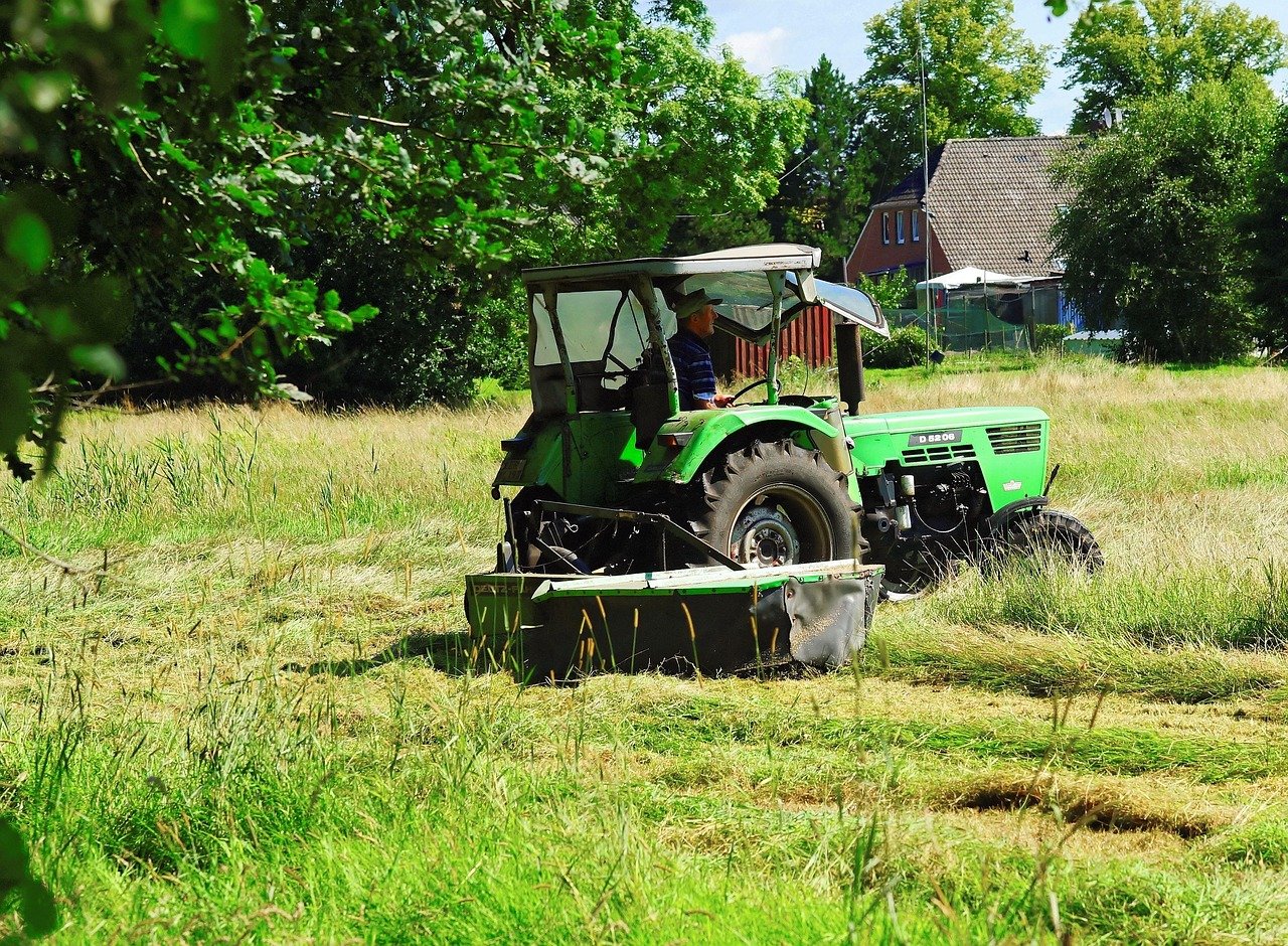 Professional Lawn Mowing Numinbah Valley Services for Healthy Lawns and ...